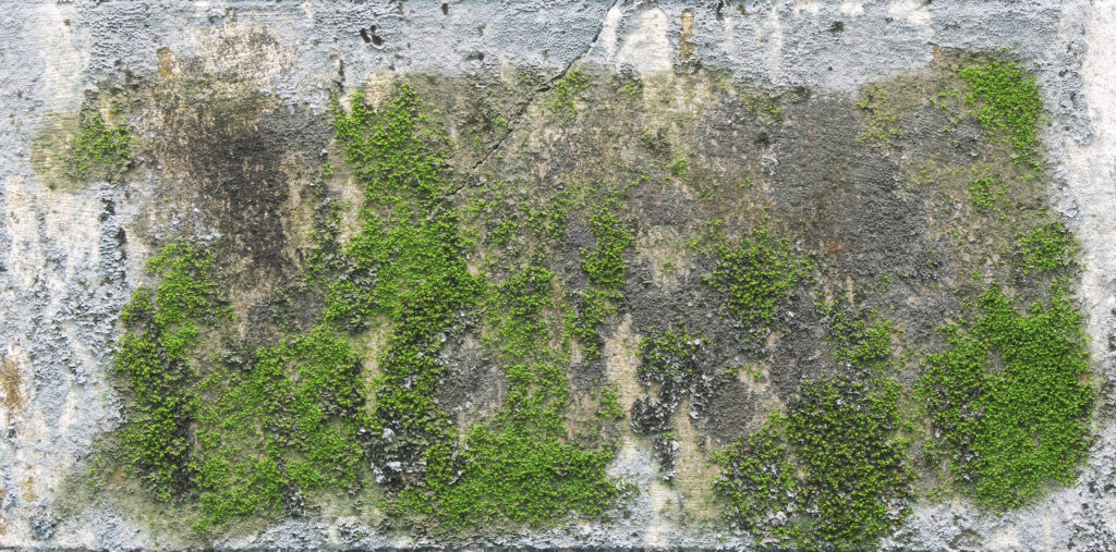 Ways to Remove Concrete Stains | Deck Ready